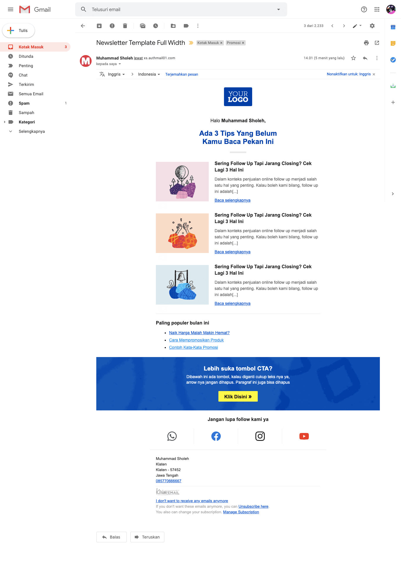 Email Newsletter Template - Desain Keren dan Gratis Untuk Perusahaan