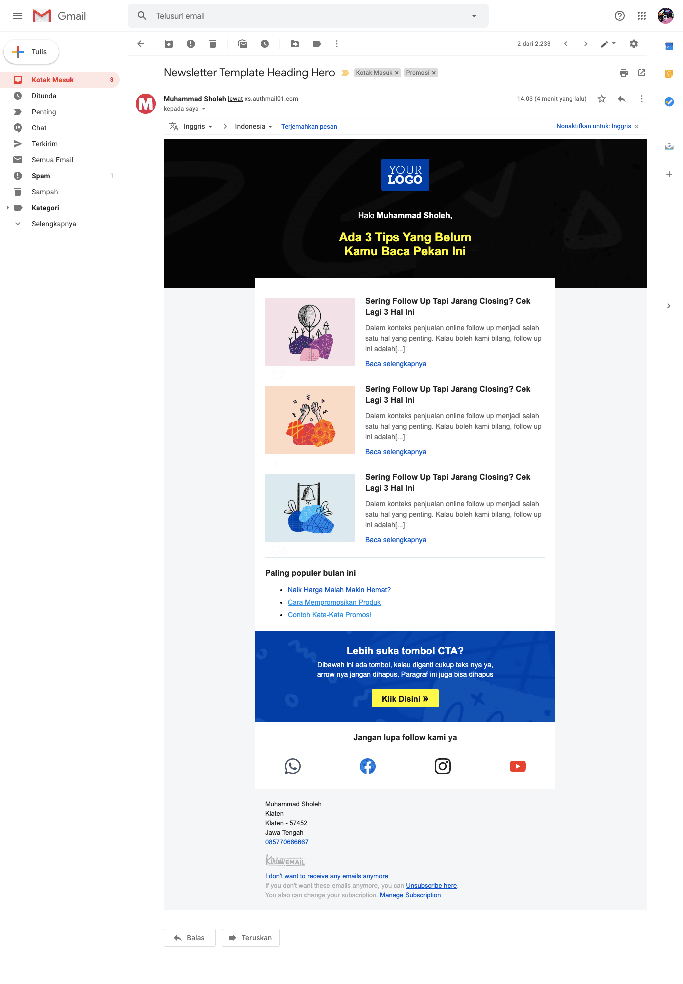 Email Newsletter Template - Desain Keren dan Gratis Untuk Perusahaan