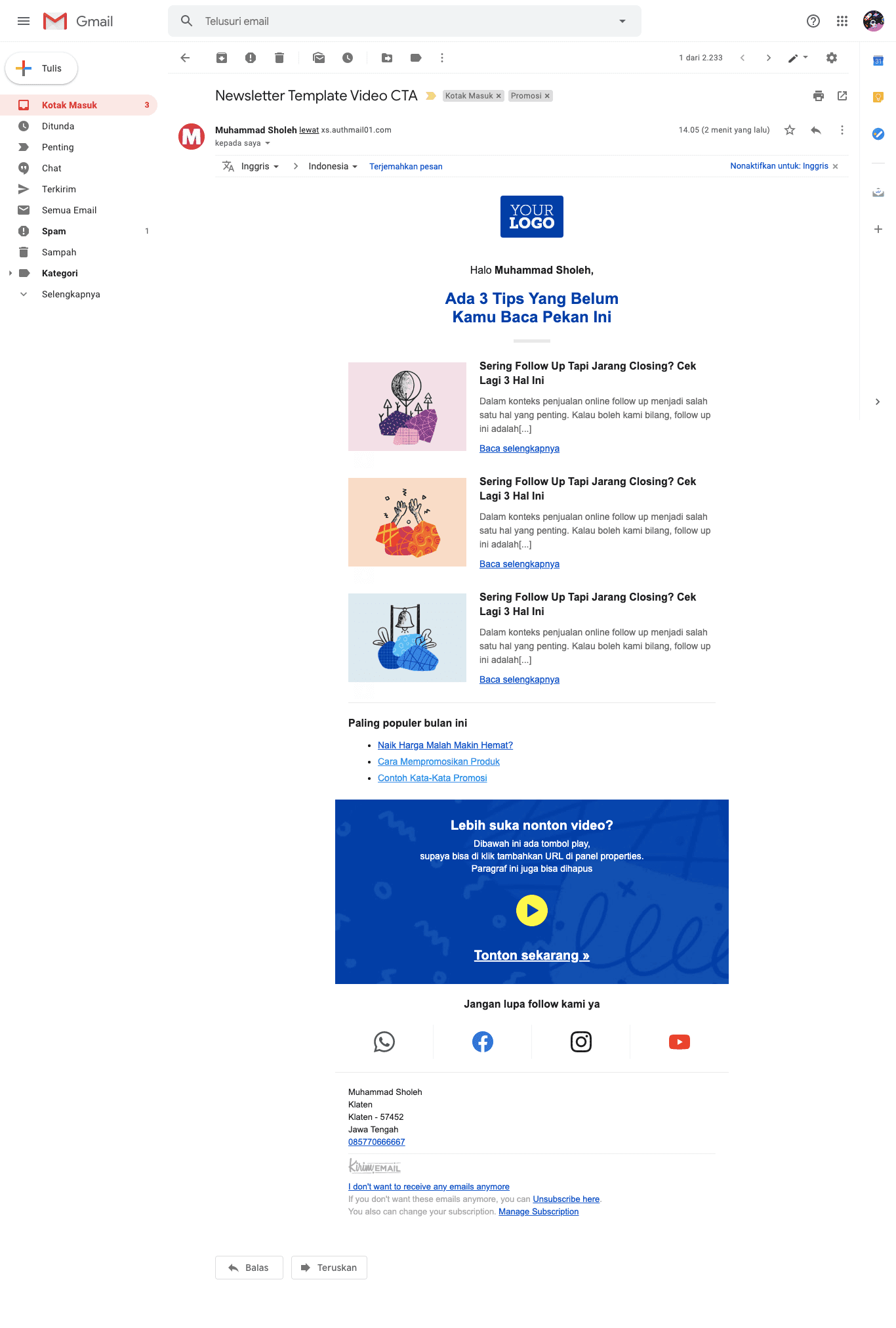 Email Newsletter Template - Desain Keren dan Gratis Untuk Perusahaan