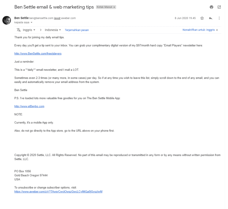 5 Contoh Newsletter Inspiratif Yang Akan Memberikan Anda Ide Segar