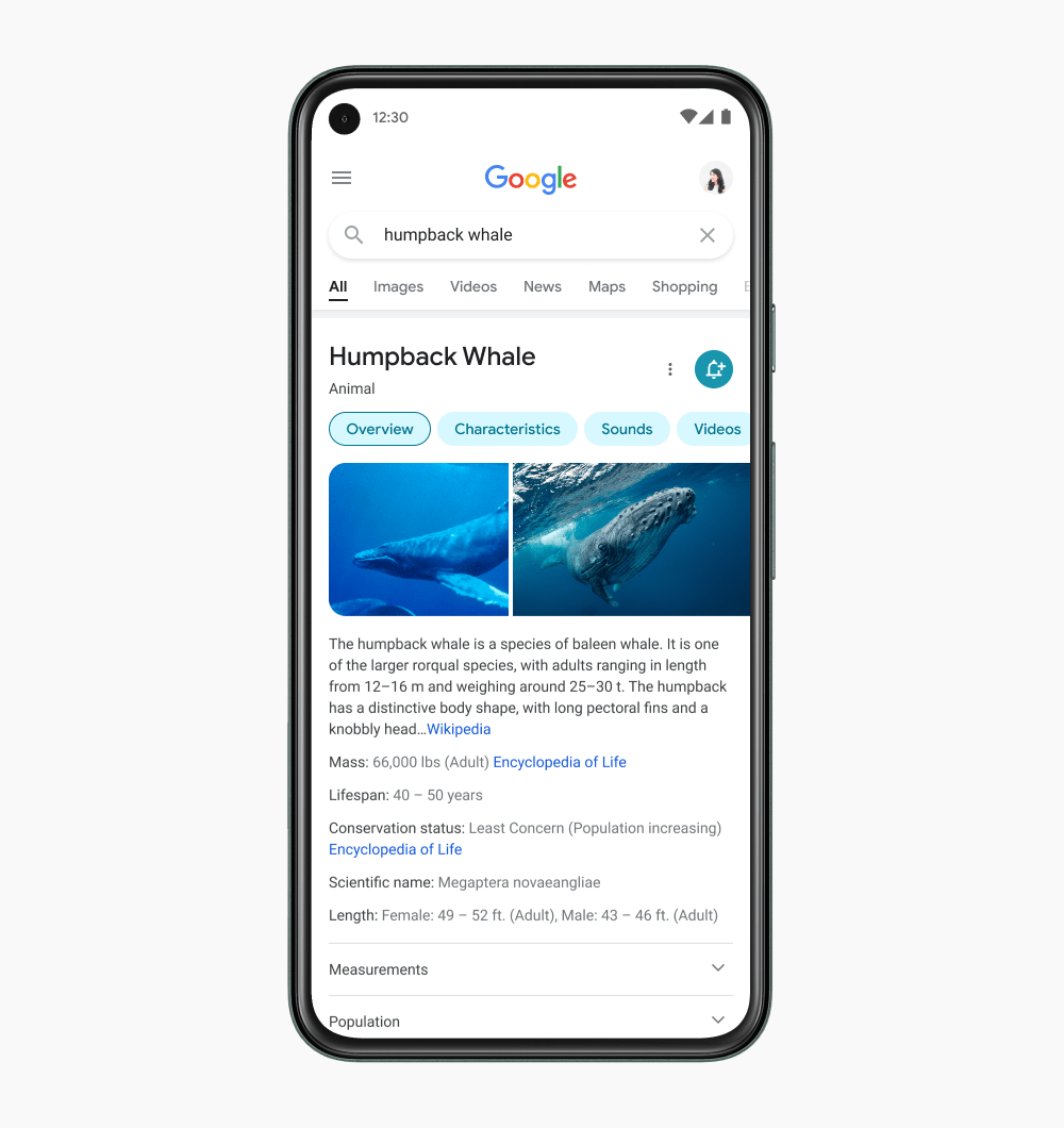 Google Desain Ulang Tampilan Search Results di Smartphone