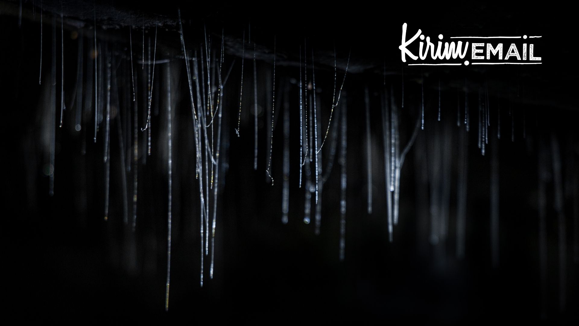 Mengenal 5 Perbedaan Dark Web Dan Deep Web